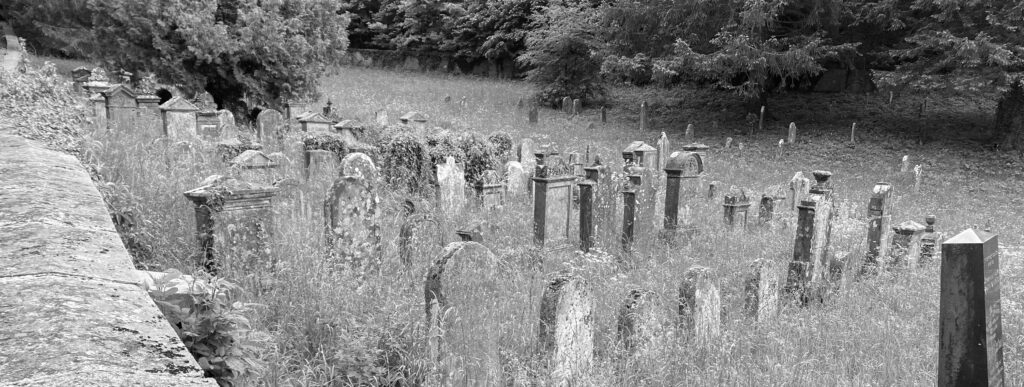 Home - What is the question